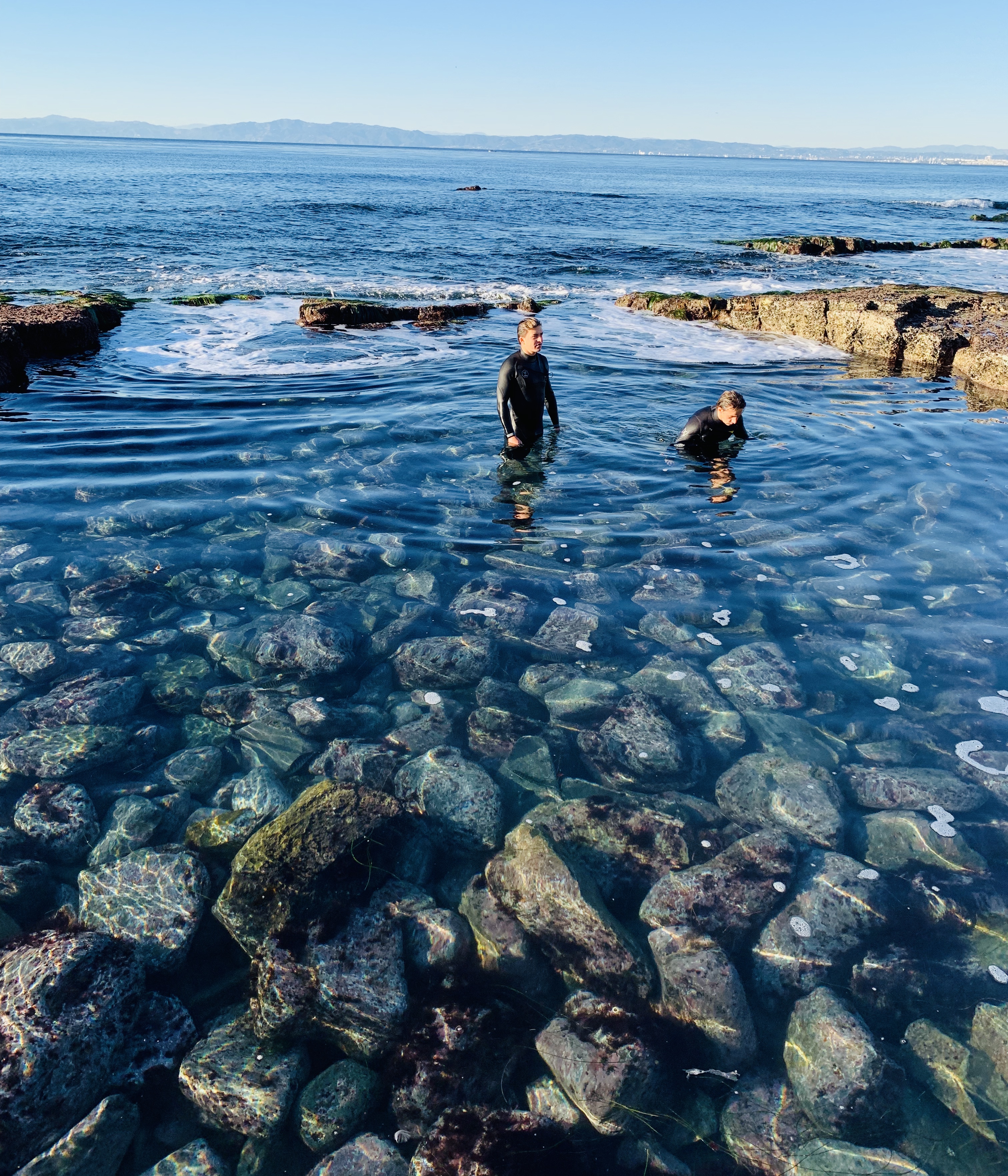 Looking At Fish – Buchanan Project