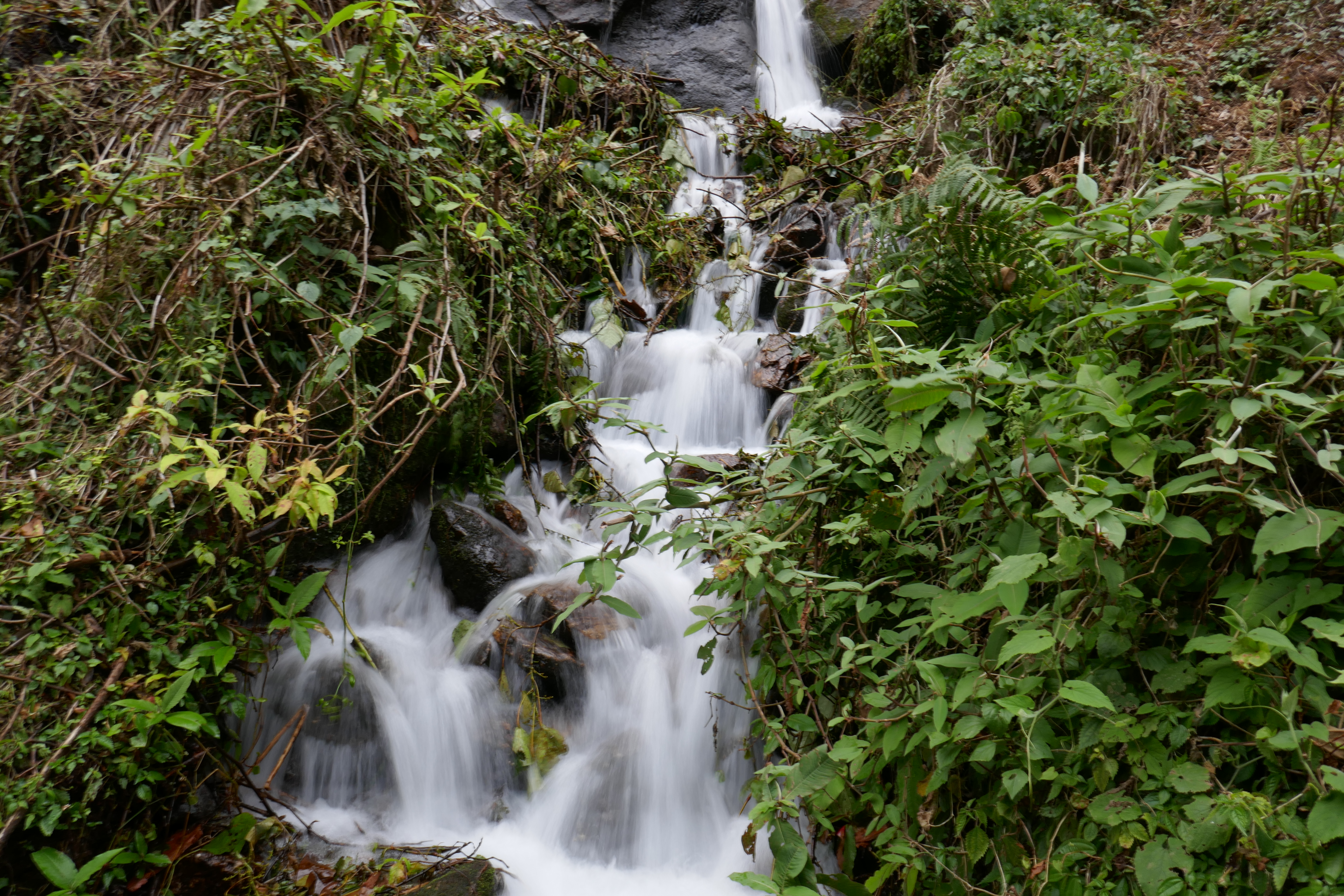 Jungle Waterfalls – Buchanan Project