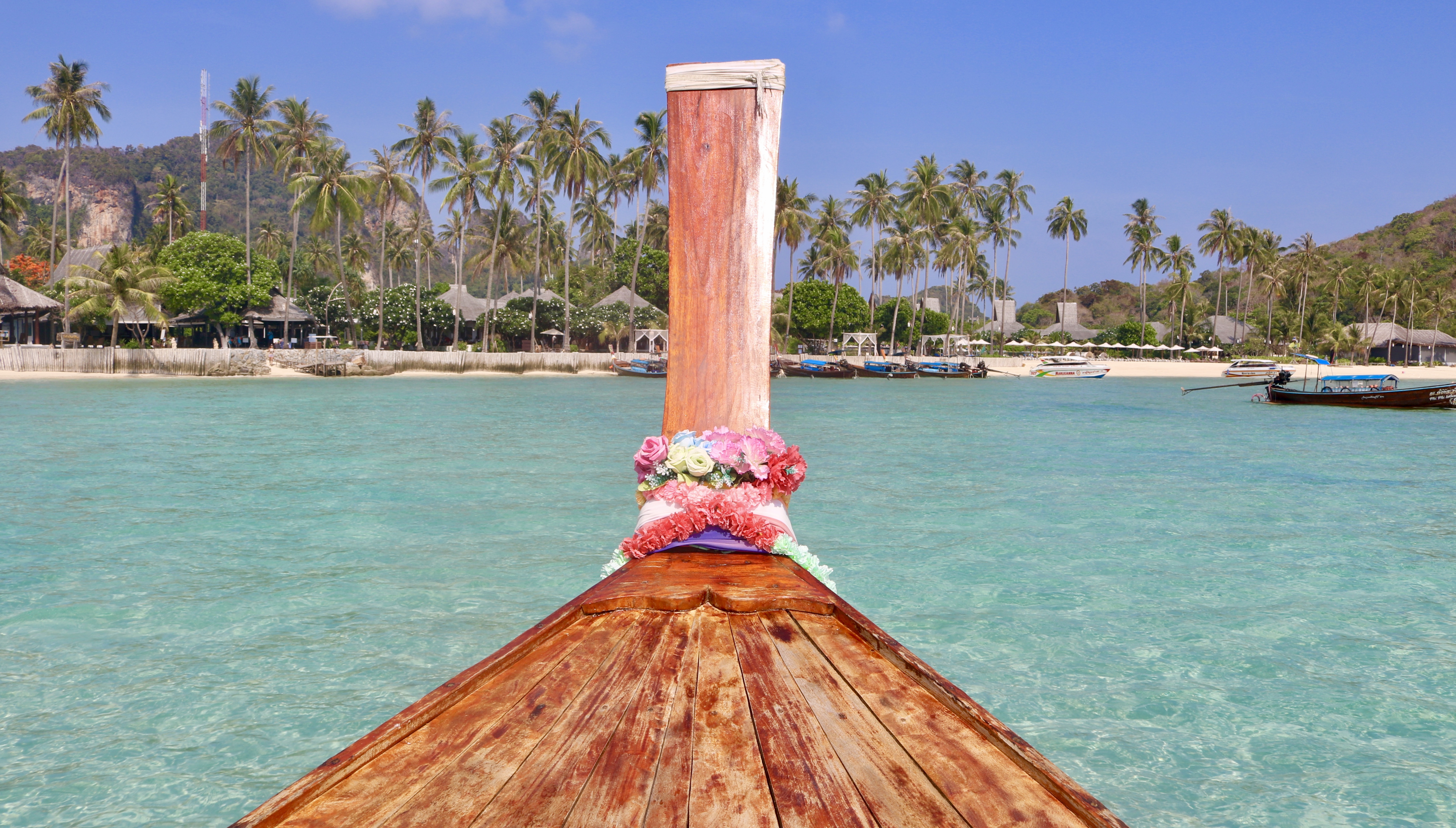 Approaching Paradise – Buchanan Project